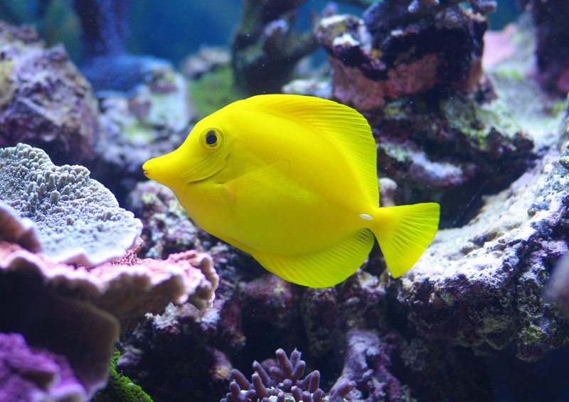 West Midlands Safari Park | Aquarium