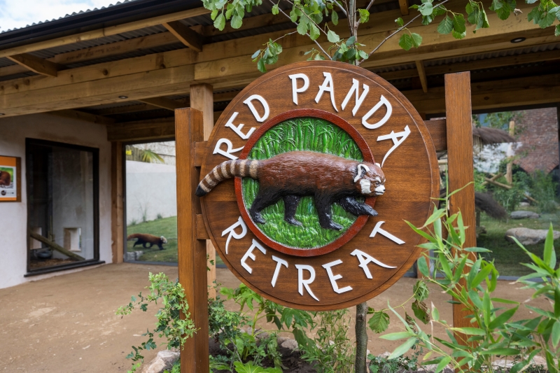 West Midlands Safari Park | Red Panda Retreat